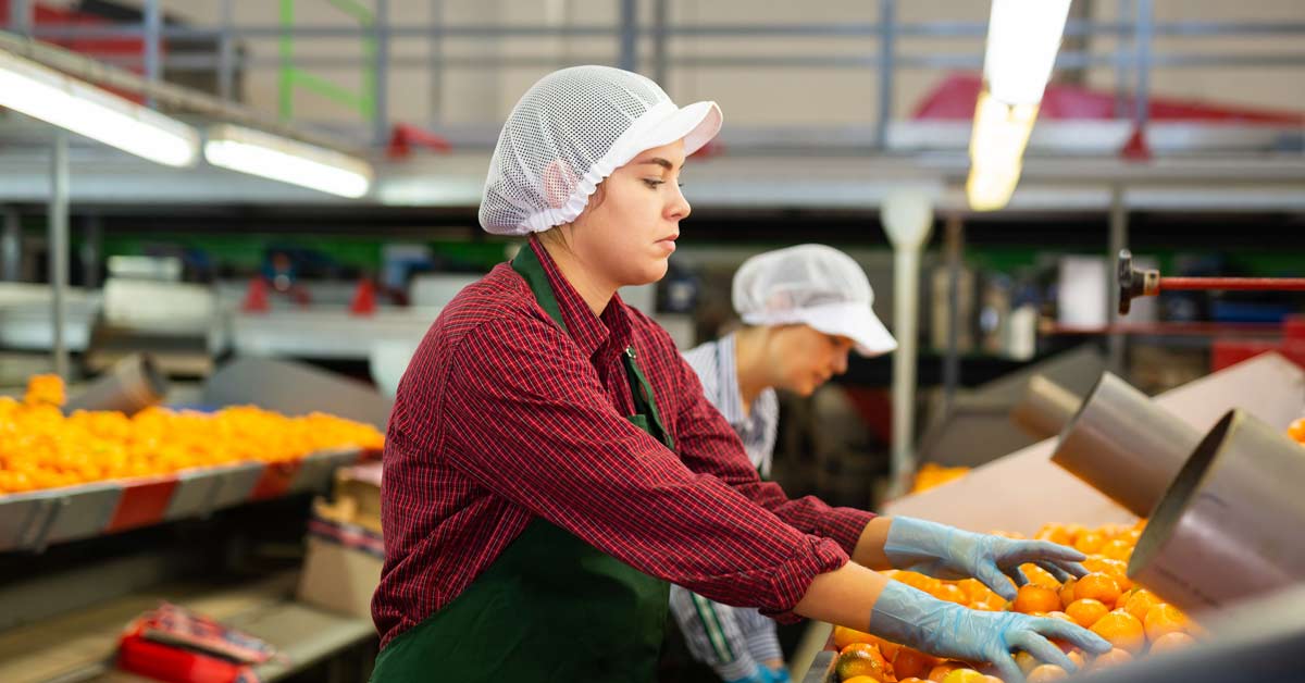 Differences Between Water Repellent Vs Waterproof Shoes Sfc