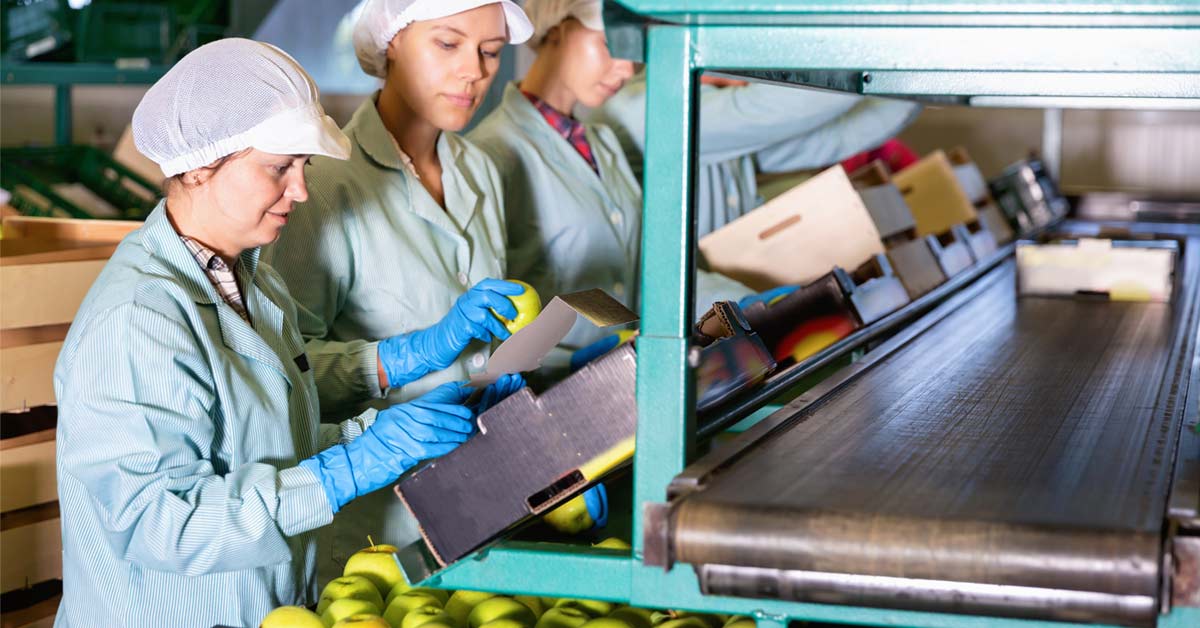 White Safety Shoes for Food and Drink Production Workers | SFC